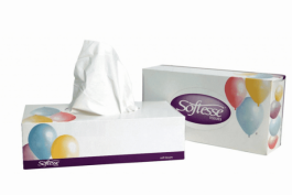 Softesse Family Facial Tissues - 2 Ply - 100 Sheets