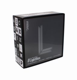 ALPHABET LIGHT UP BOX LETTER L